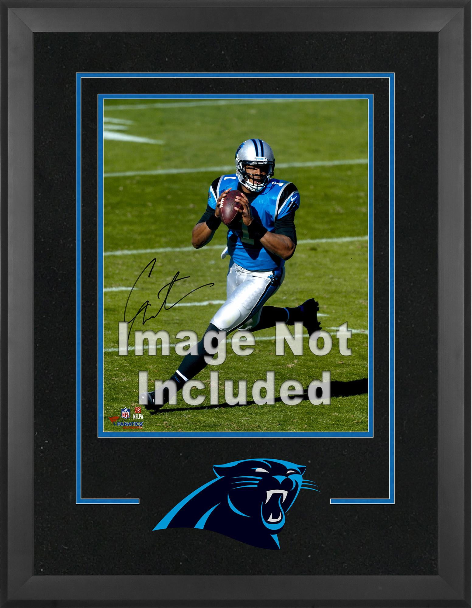 Carolina Panthers Deluxe 16" x 20" Vertical Photograph Frame with Team ...