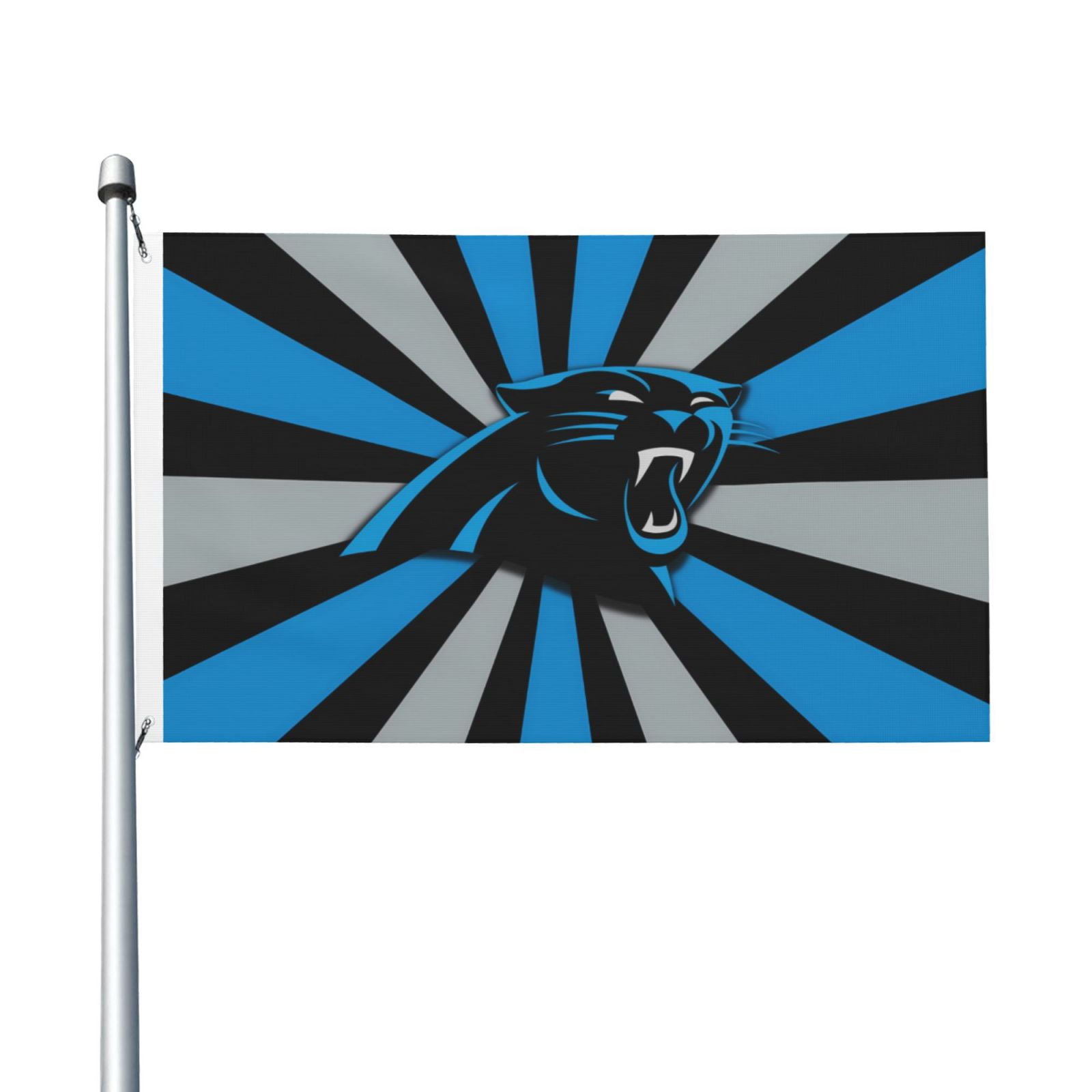 Panthers football team Support Flag Double Sided Outdoor Decorative ...
