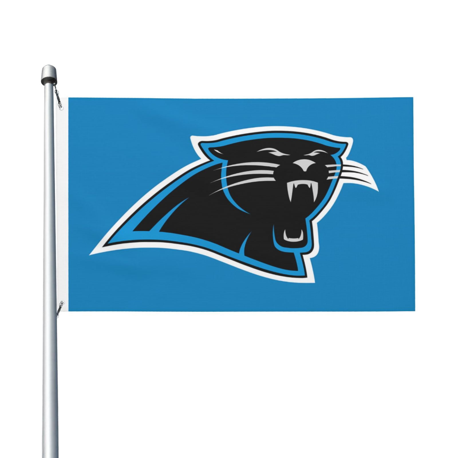 Panthers football team Support Flag Double Sided Outdoor Decorative ...