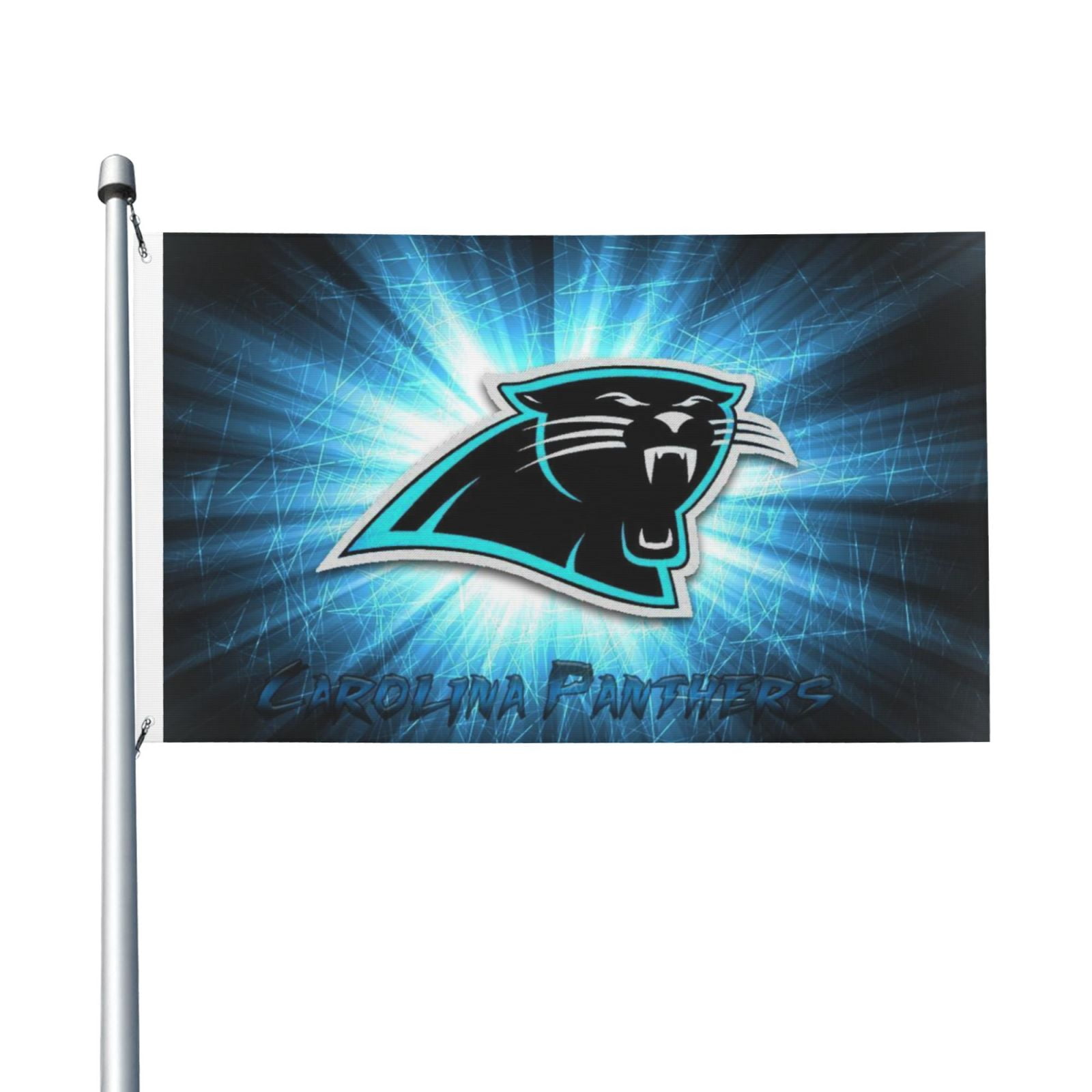 Panthers football team Support Flag Double Sided Outdoor Decorative ...