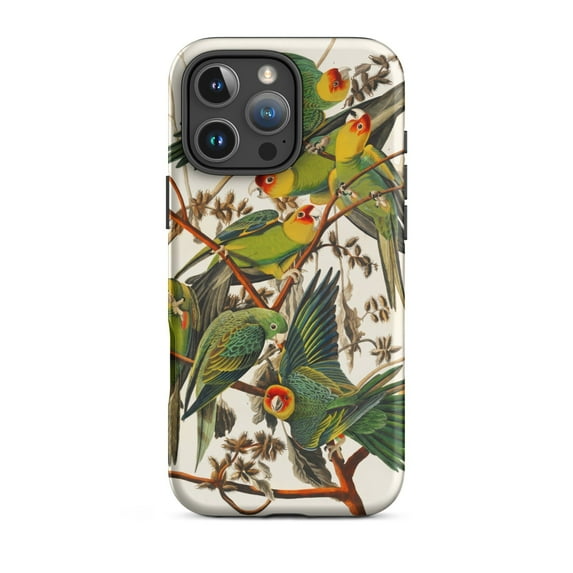 Carolina Parrots John James Audubon Bird Art Phone Case Compatible with ...
