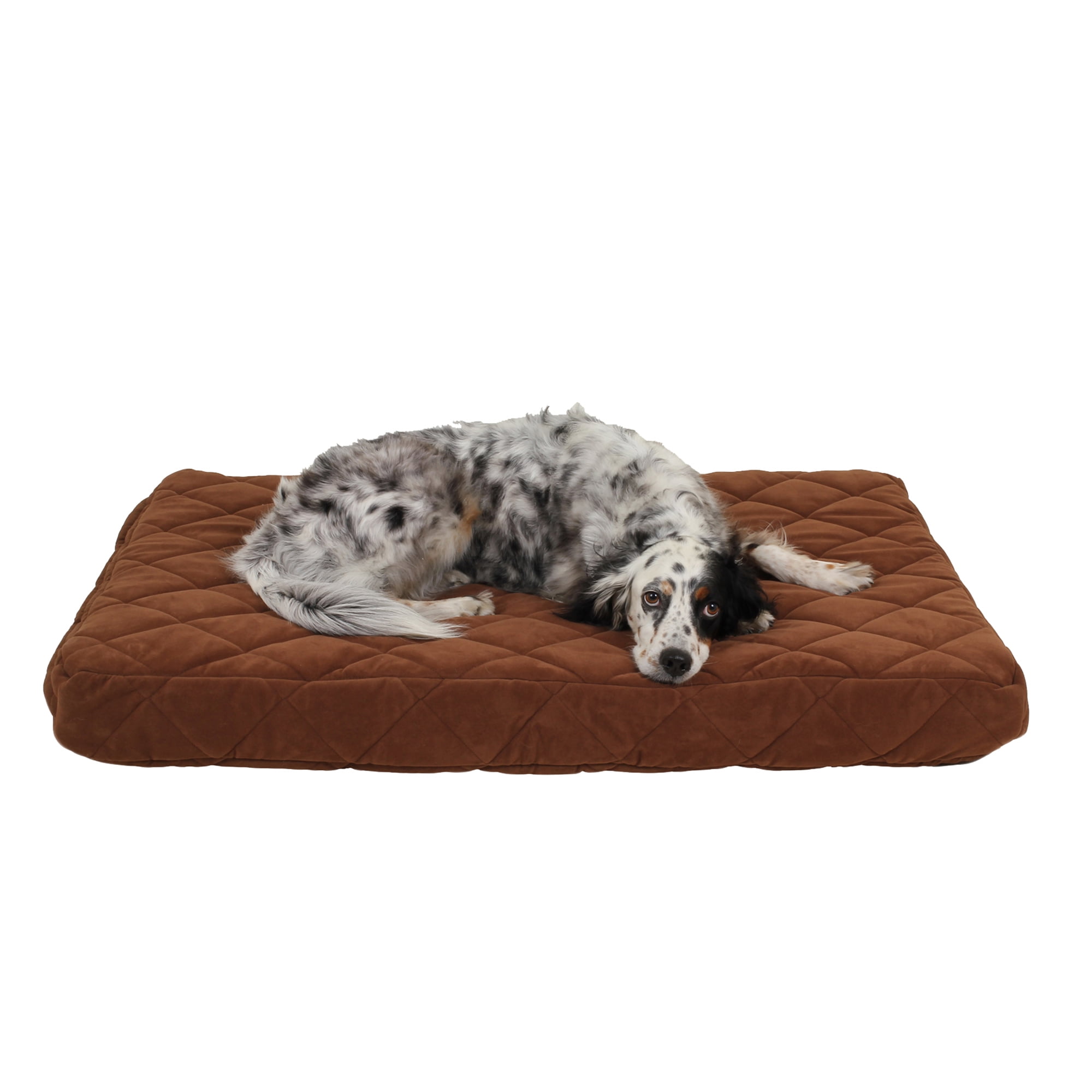Carolina Pet Quilted Orthopedic Jamison Pet Bed - Chocolate, Medium (012360) - Walmart.com