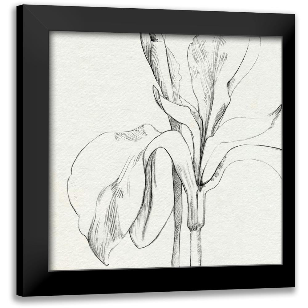 Caroline, Emma 20x20 Black Modern Framed Museum Art Print Titled - Iris ...
