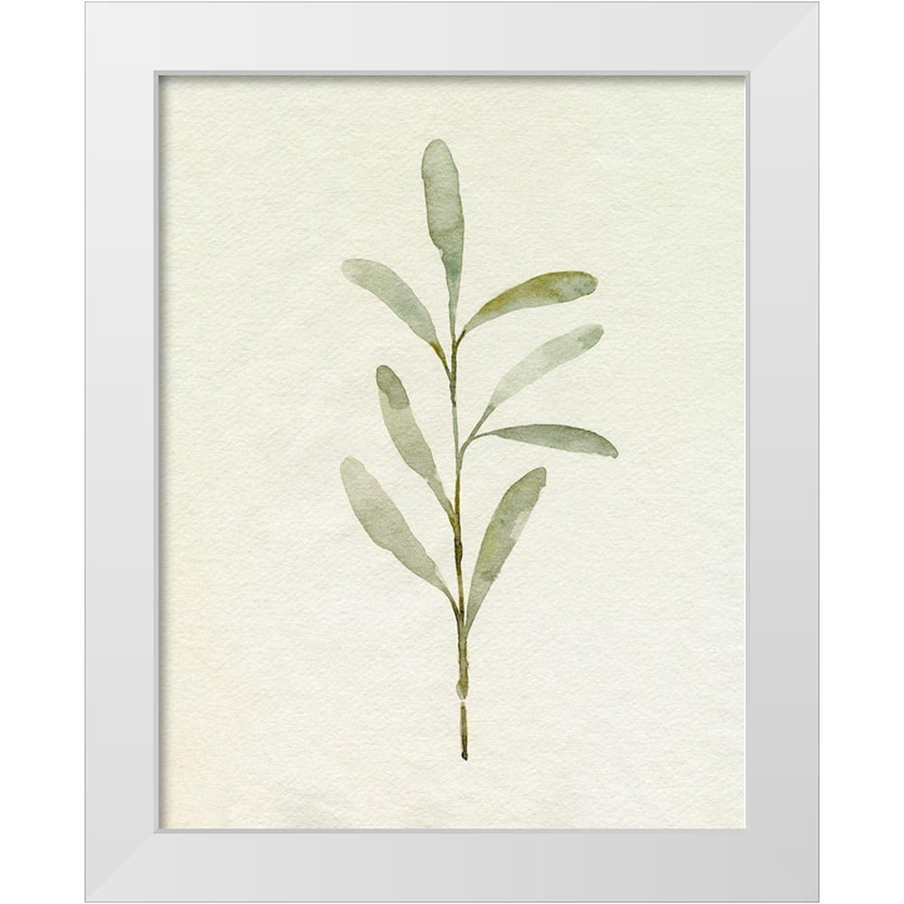 Caroline, Emma 26x32 White Modern Wood Framed Museum Art Print Titled - Olive Leaves III ...