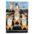 Caroline's Treasures 7286-FLAG-PARENT Go Team Corgi Flag, , multicolor ...