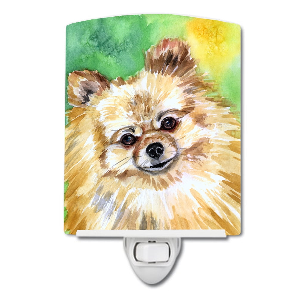 Caroline's Treasures 7393CNL Pomeranian Sissy Ceramic Night Light ...