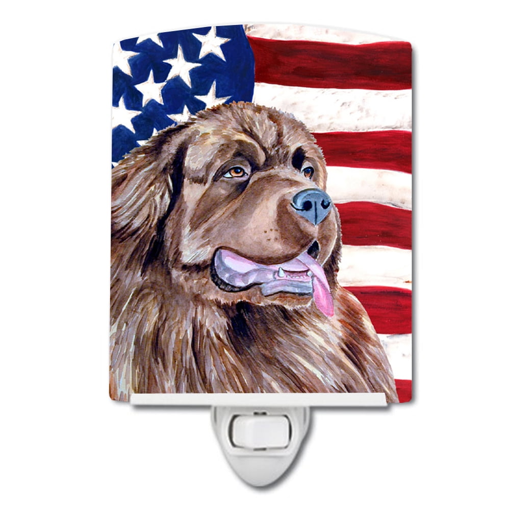 Caroline's Treasures LH9024CNL Flag with Newfoundland Ceramic Night ...