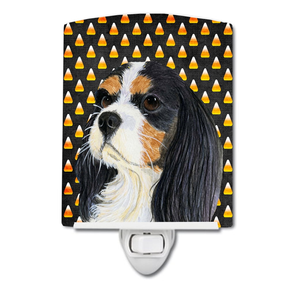 Tri Color Cavalier