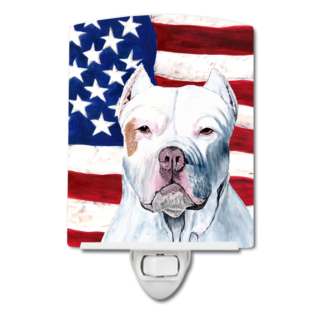 Caroline's Treasures SC9026CNL Flag with Pit Bull Ceramic Night Light ...
