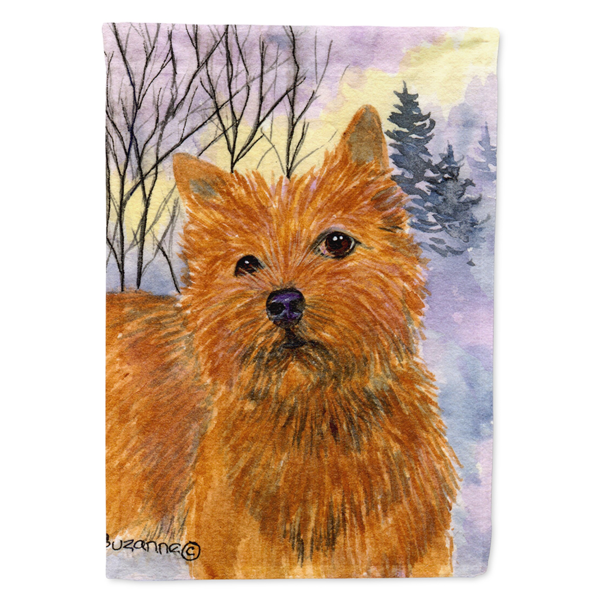Caroline's Treasures SS1012-FLAG-PARENT Norwich Terrier Flag ...