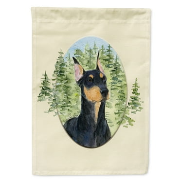 Caroline's Treasures SS8726-FLAG-PARENT Shiba Inu Flag, , multicolor - Walmart.com