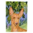 Caroline's Treasures SS8268-FLAG-PARENT Pharaoh Hound Flag, , multicolor - Walmart.com
