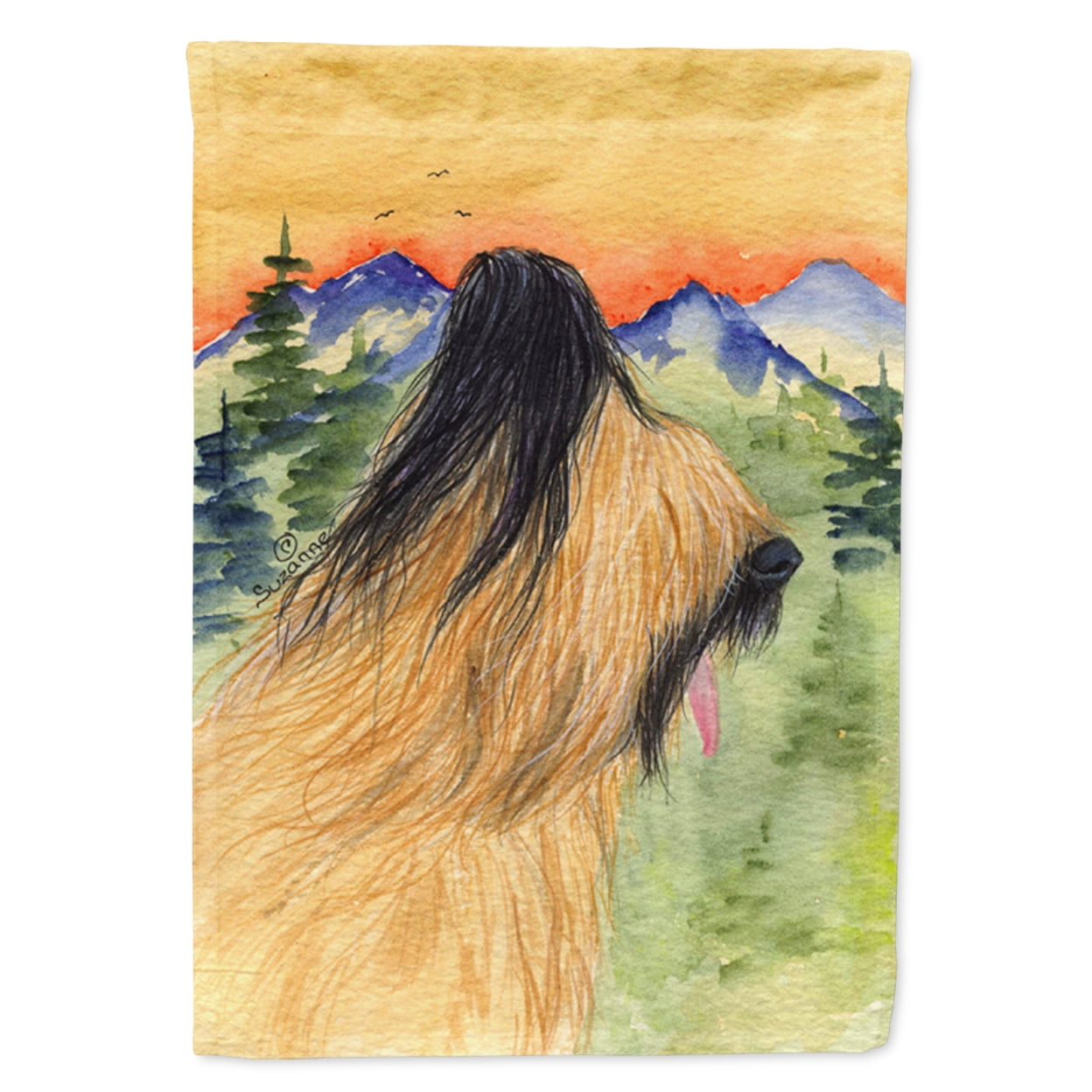 Caroline's Treasures SS8318-FLAG-PARENT Briard Flag, , multicolor ...