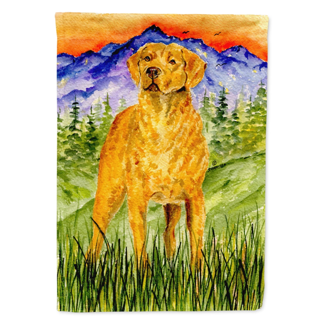 Caroline's Treasures SS8449-FLAG-PARENT Chesapeake Bay Retriever Flag ...