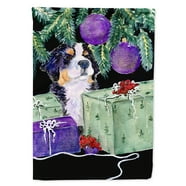 Caroline's Treasures SS8268-FLAG-PARENT Pharaoh Hound Flag, , multicolor - Walmart.com