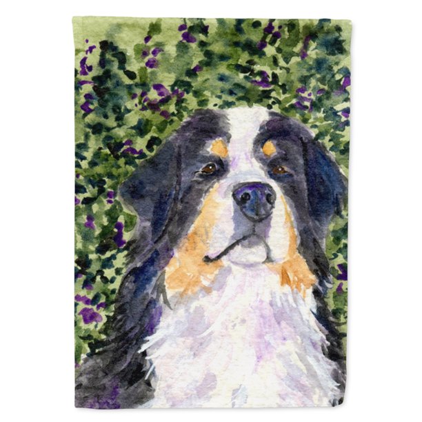 Caroline's Treasures SS8830-FLAG-PARENT Bernese Mountain Dog Flag, , multicolor - Walmart ...