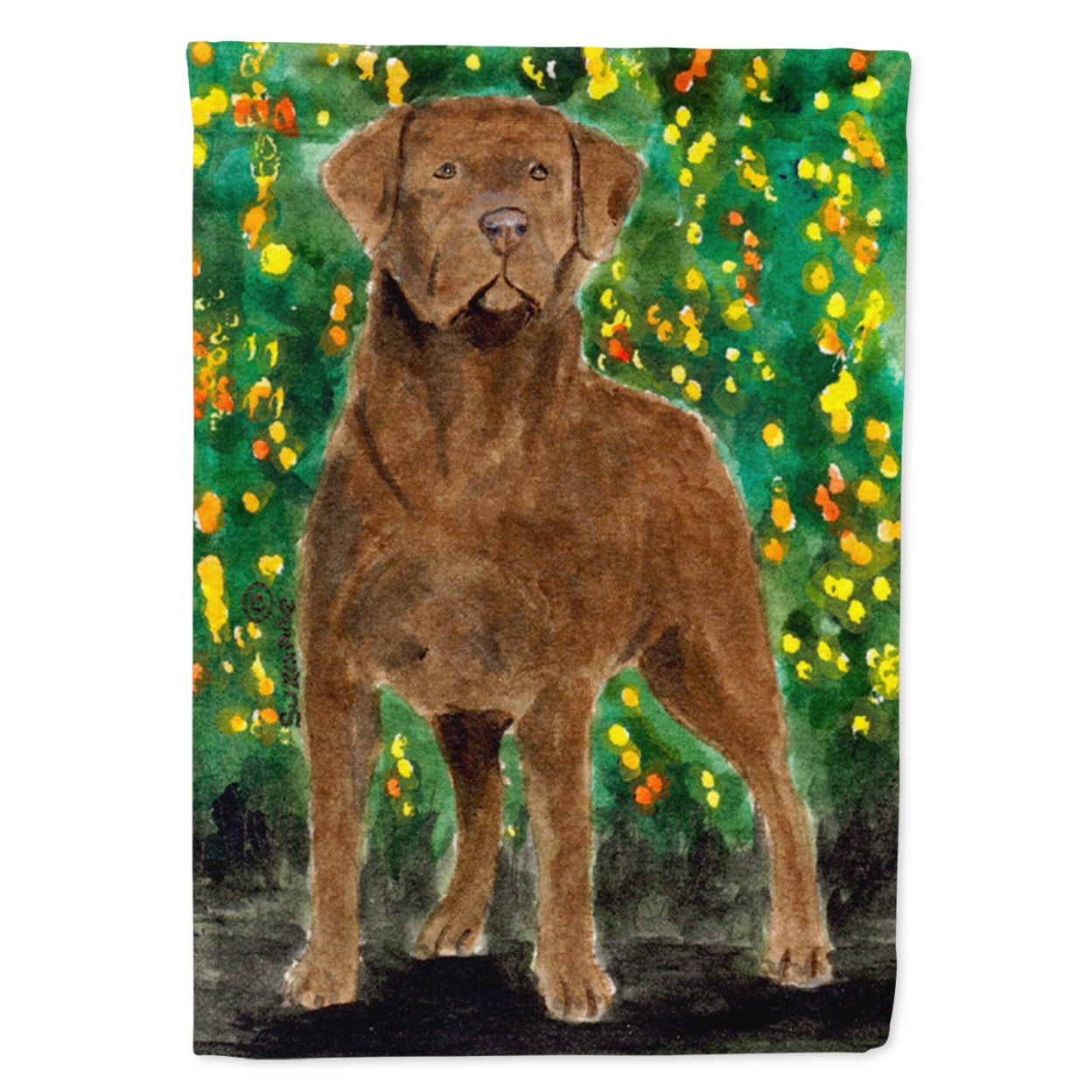 Caroline's Treasures SS8969-FLAG-PARENT Chesapeake Bay Retriever Flag ...