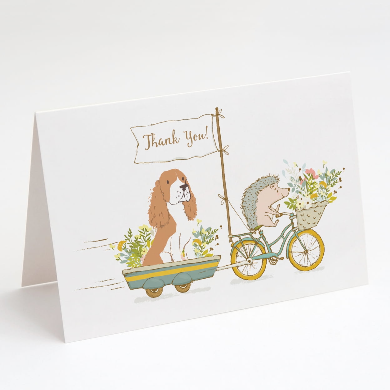 Springer Spaniel Gold Greeting Cards and Envelopes Pack of 8 - Walmart ...