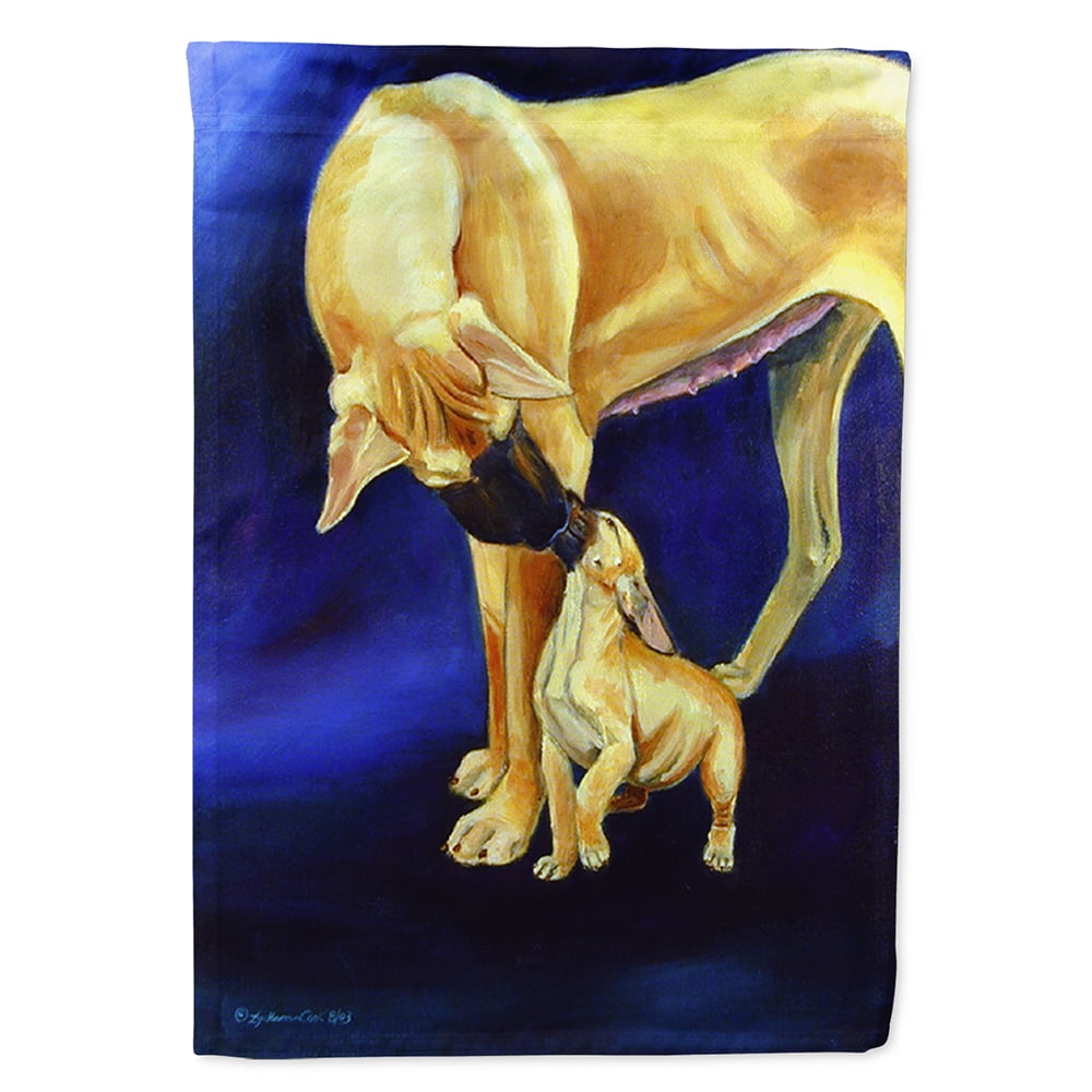 Carolines Treasures 7208-FLAG-PARENT Natural Fawn Great Dane with Puppy Flag multicolor ...