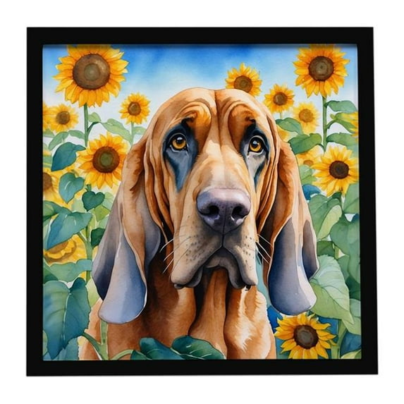 Carolines Treasures 8 x 8 in. Bloodhound in Sunflowers Framed Metal ...