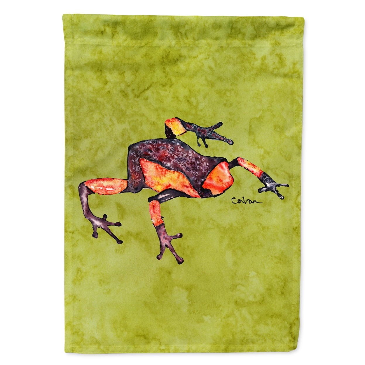 Carolines Treasures 8689-FLAG-PARENT Frog Flag multicolor - Walmart ...