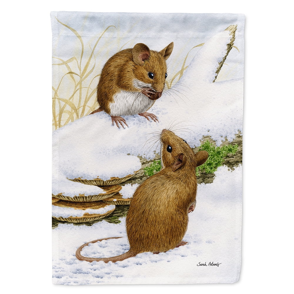 Carolines Treasures ASA2027CHF Wood Mice Wood Mouse Flag Canvas House ...