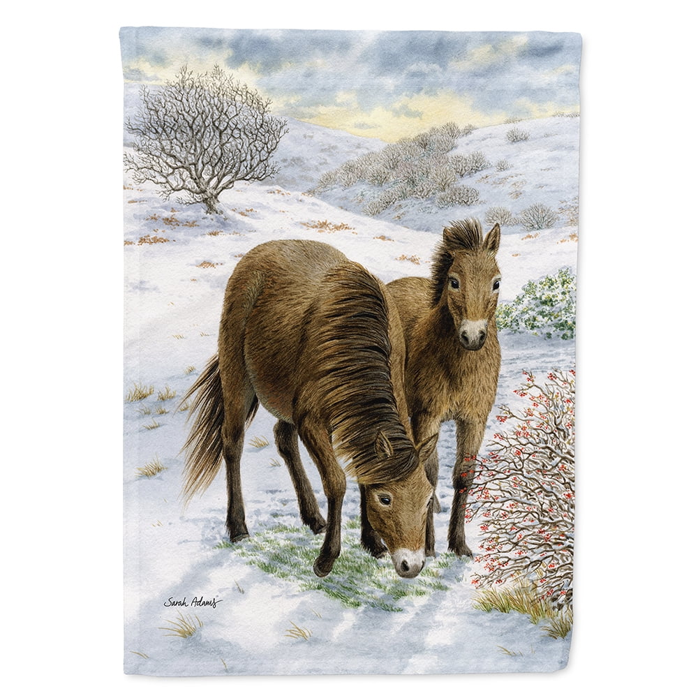 Carolines Treasures ASA2032CHF Exmoor Ponies Horse Flag Canvas House ...