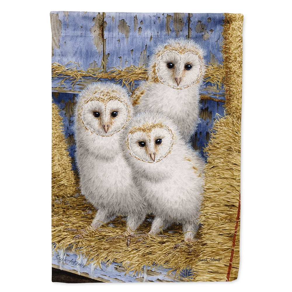 Carolines Treasures ASA2076CHF Barn Owl Chicks Flag Canvas House Size ...