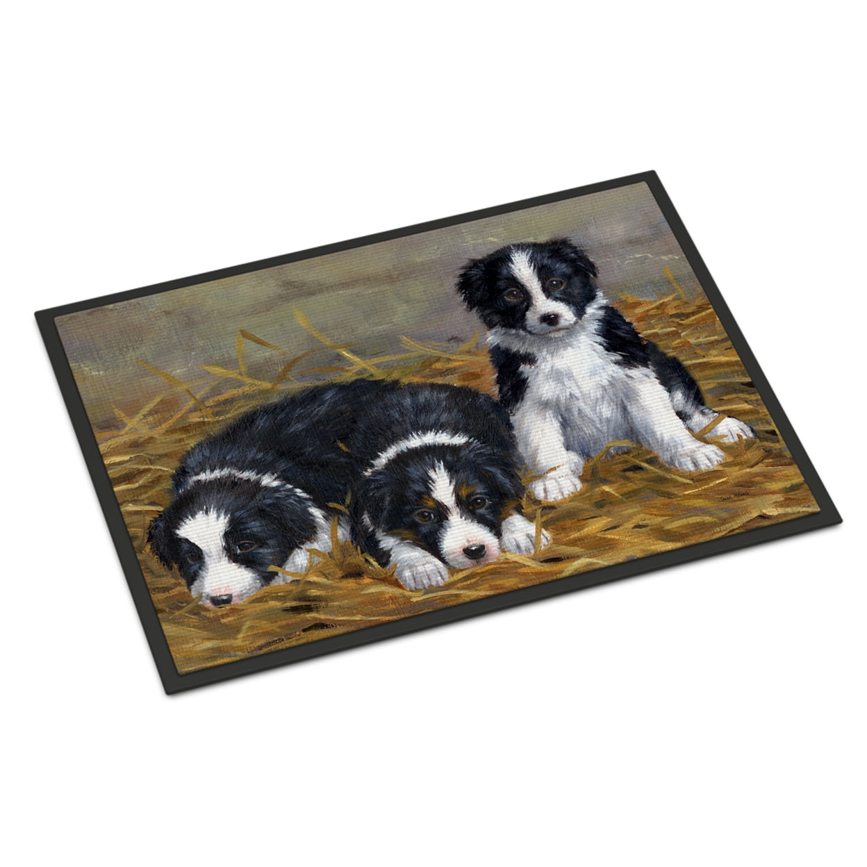Carolines Treasures ASA2196JMAT Border Collie Puppies Door Mat Indoor ...