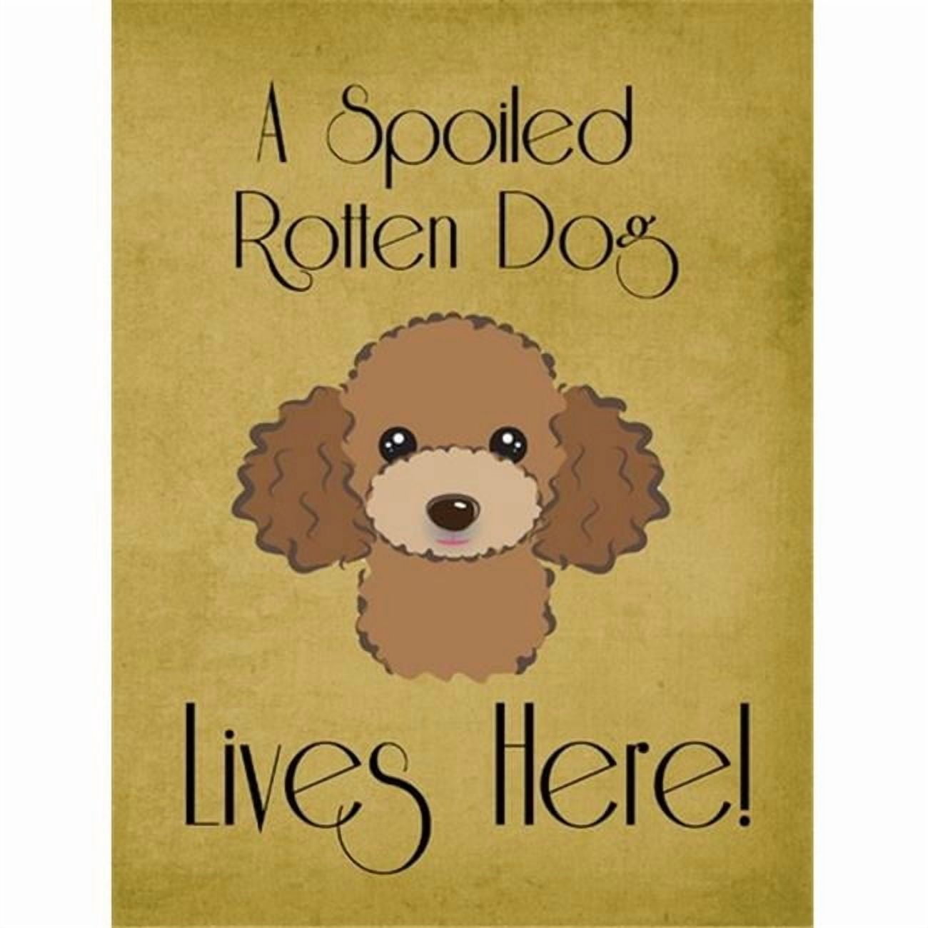 Caroline's Treasures BB1504GF Chocolate Brown Poodle Spoiled Dog Lives ...