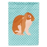 Carolines Treasures ASA2035GF Rabbit with Berries Flag Garden Size ...