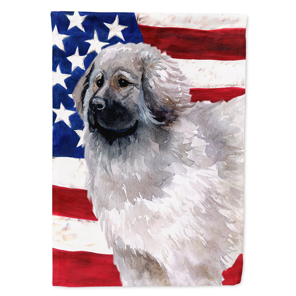 Carolines Treasures BB9673CHF Moscow Watchdog Patriotic Flag Canvas ...