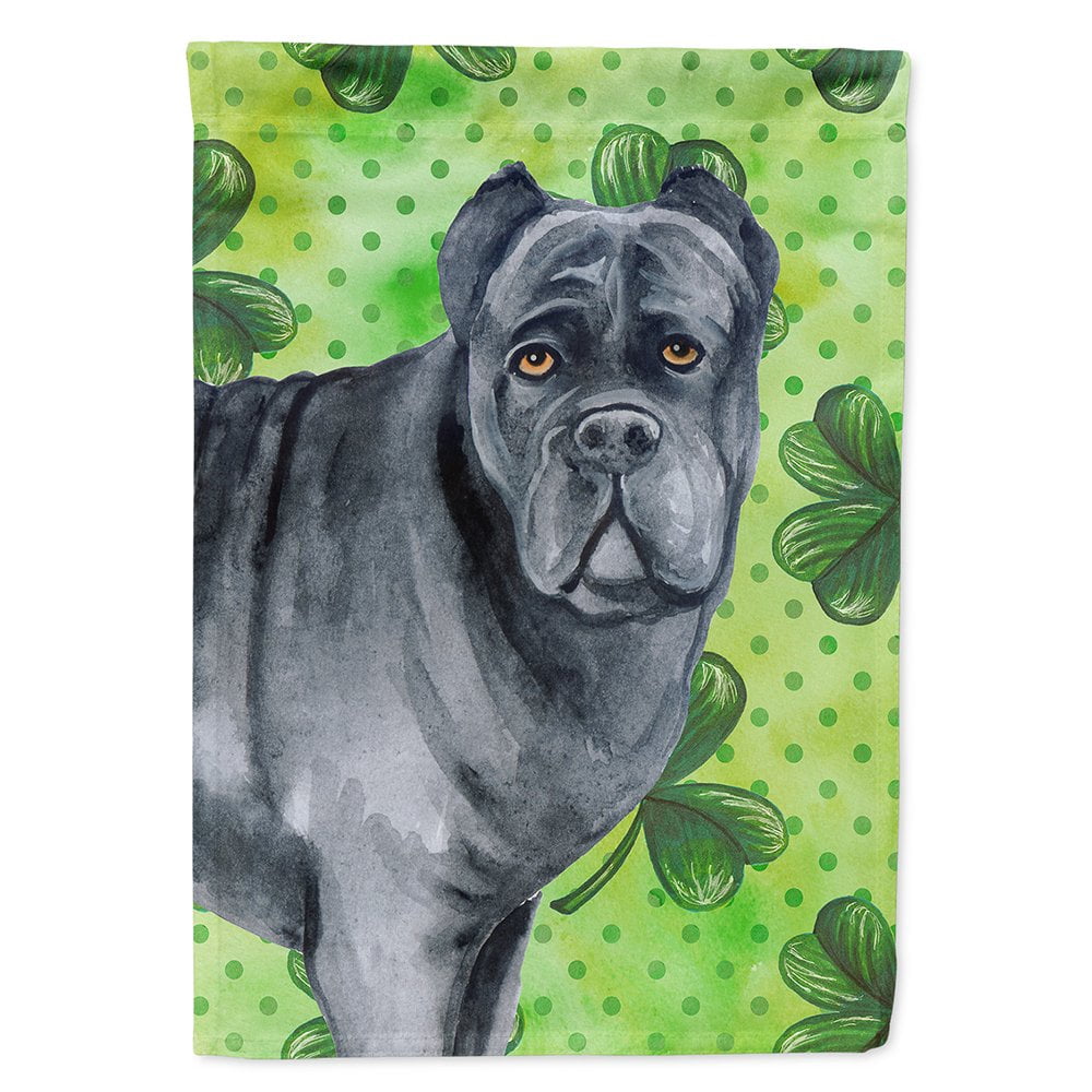 Carolines Treasures BB9868CHF Cane Corso St Patricks Flag Canvas House ...