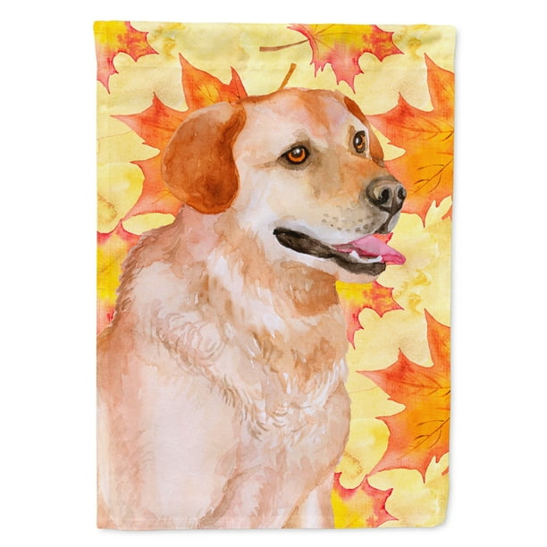 Carolines Treasures BB9975GF Labrador Retriever Fall Flag Garden Size ...