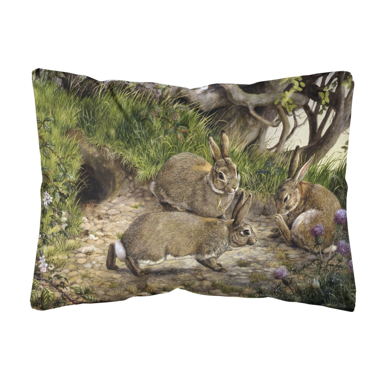 Carolines Treasures BDBA0136PW1216 Rabbits and the Rabbit Hole Fabric ...