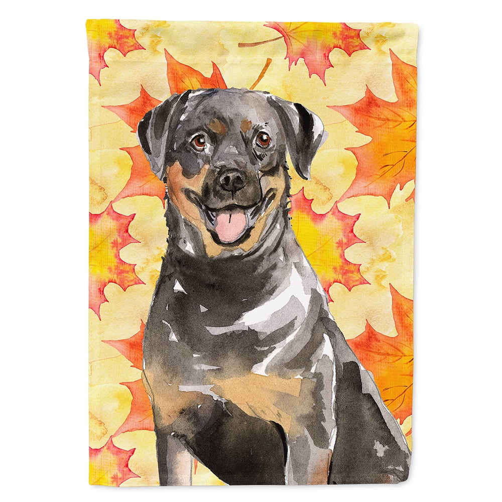 Carolines Treasures CK1831CHF Fall Leaves Rottweiler Flag Canvas House ...