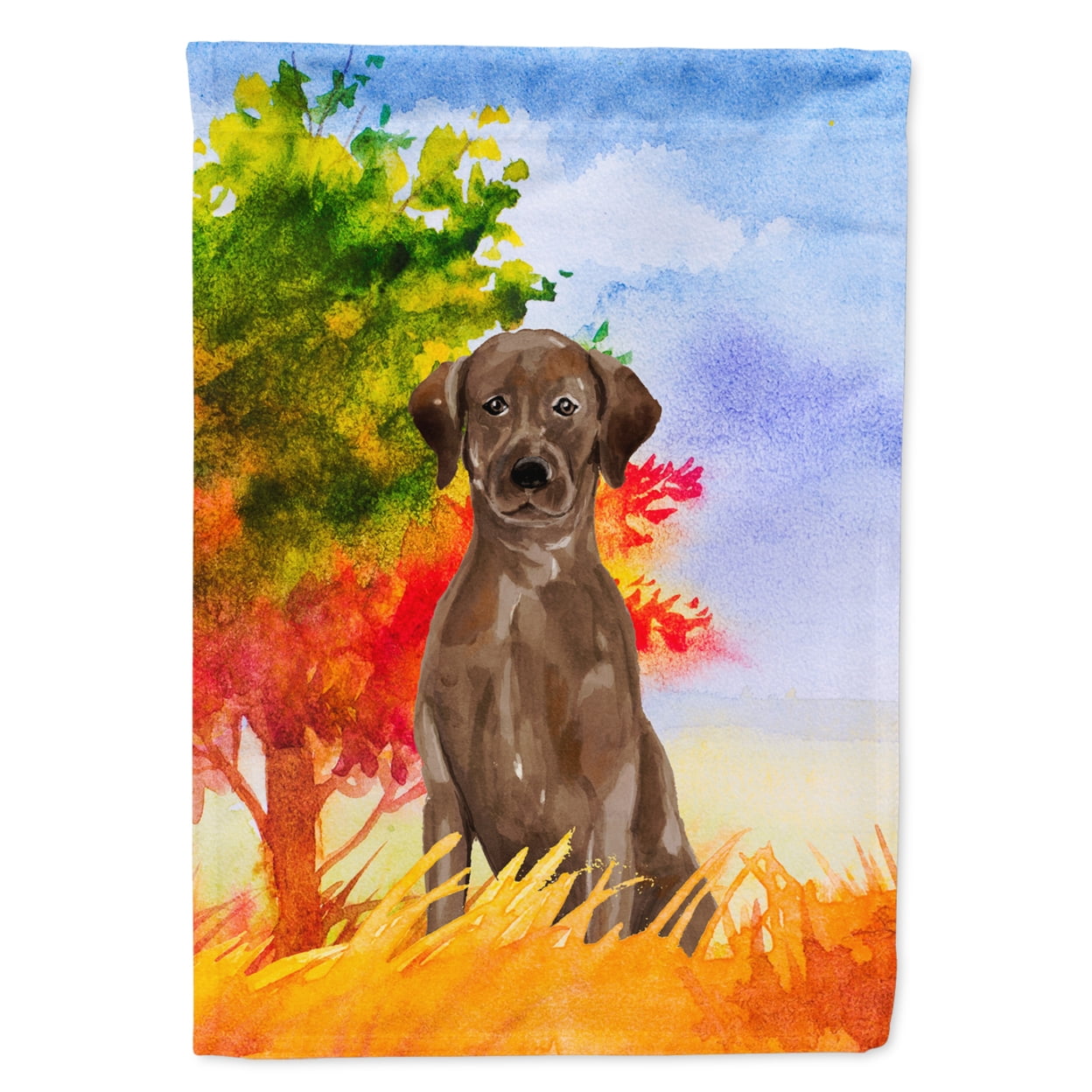 Carolines Treasures CK1951GF Fall Chocolate Labrador Retriever Flag ...