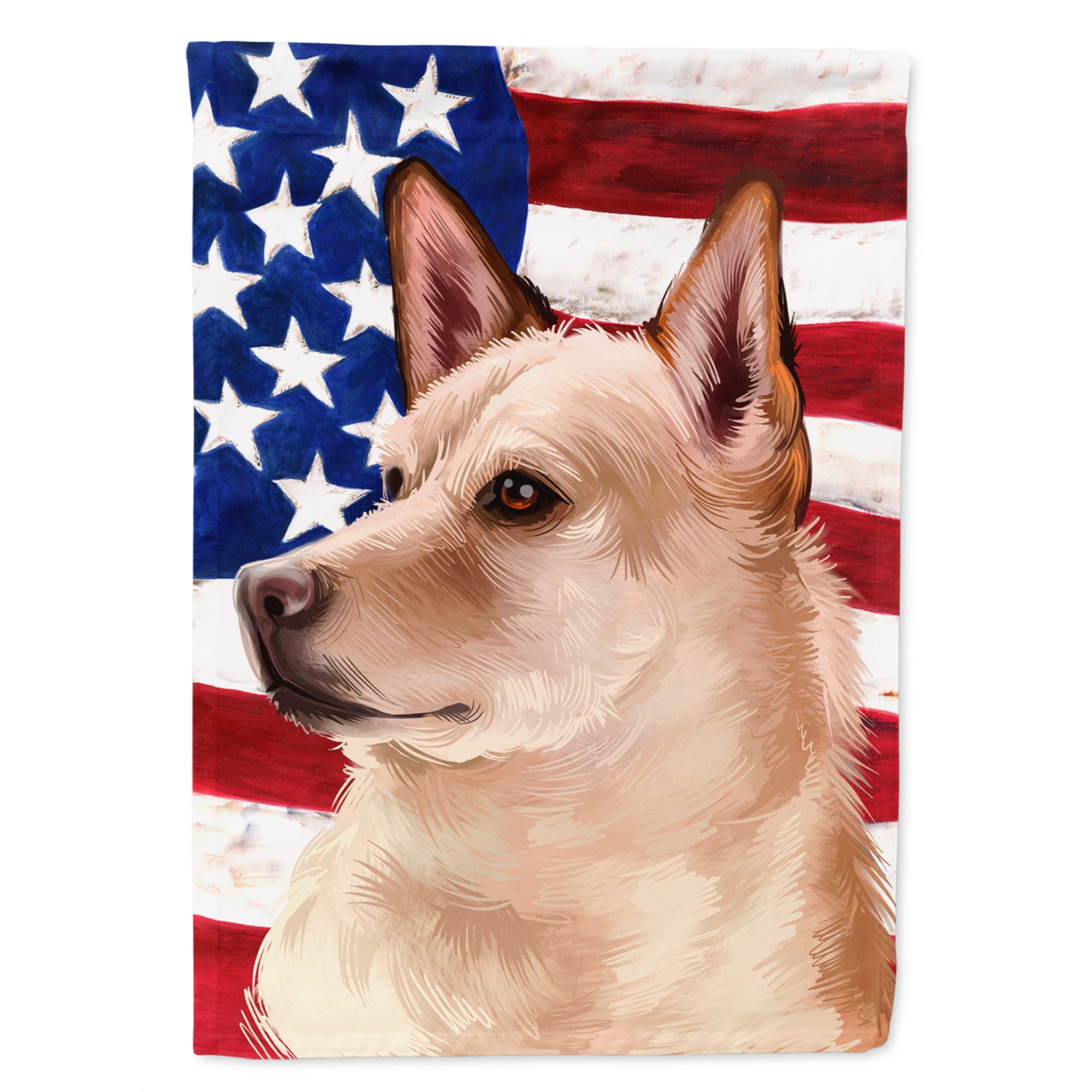 Carolines Treasures CK6472GF Canaan Dog American Garden Size Outdoor ...