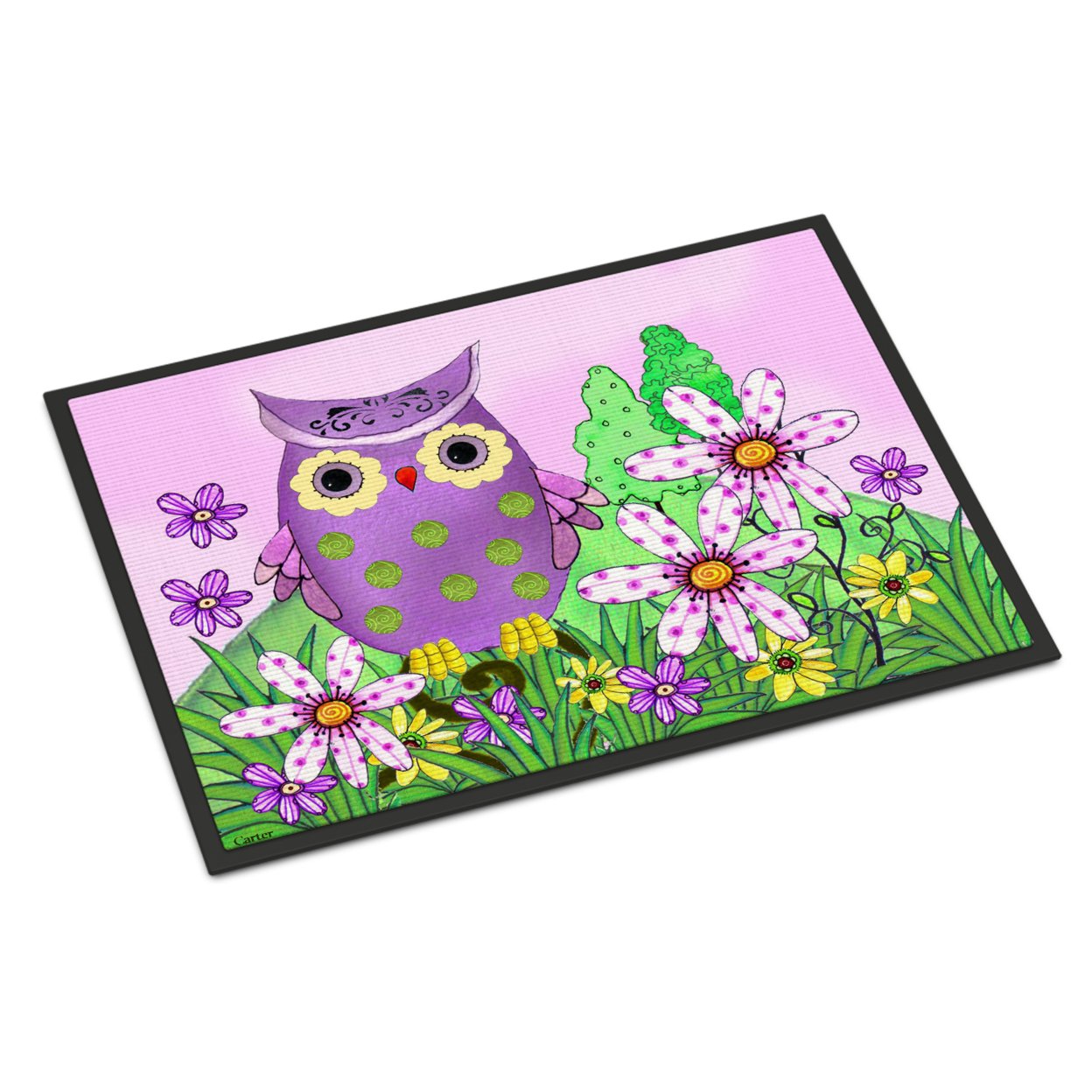 Carolines Treasures PJC1096MAT Who is Your Friend Owl Door Mat Indoor ...