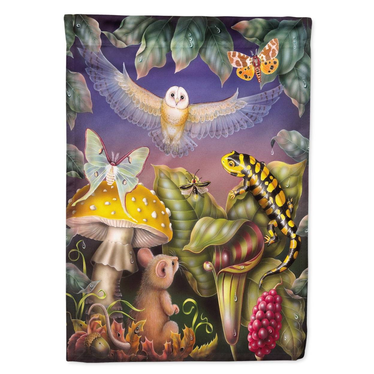 Carolines Treasures PRS4008CHF Night Owl Iguana Butterfles Flag Canvas ...