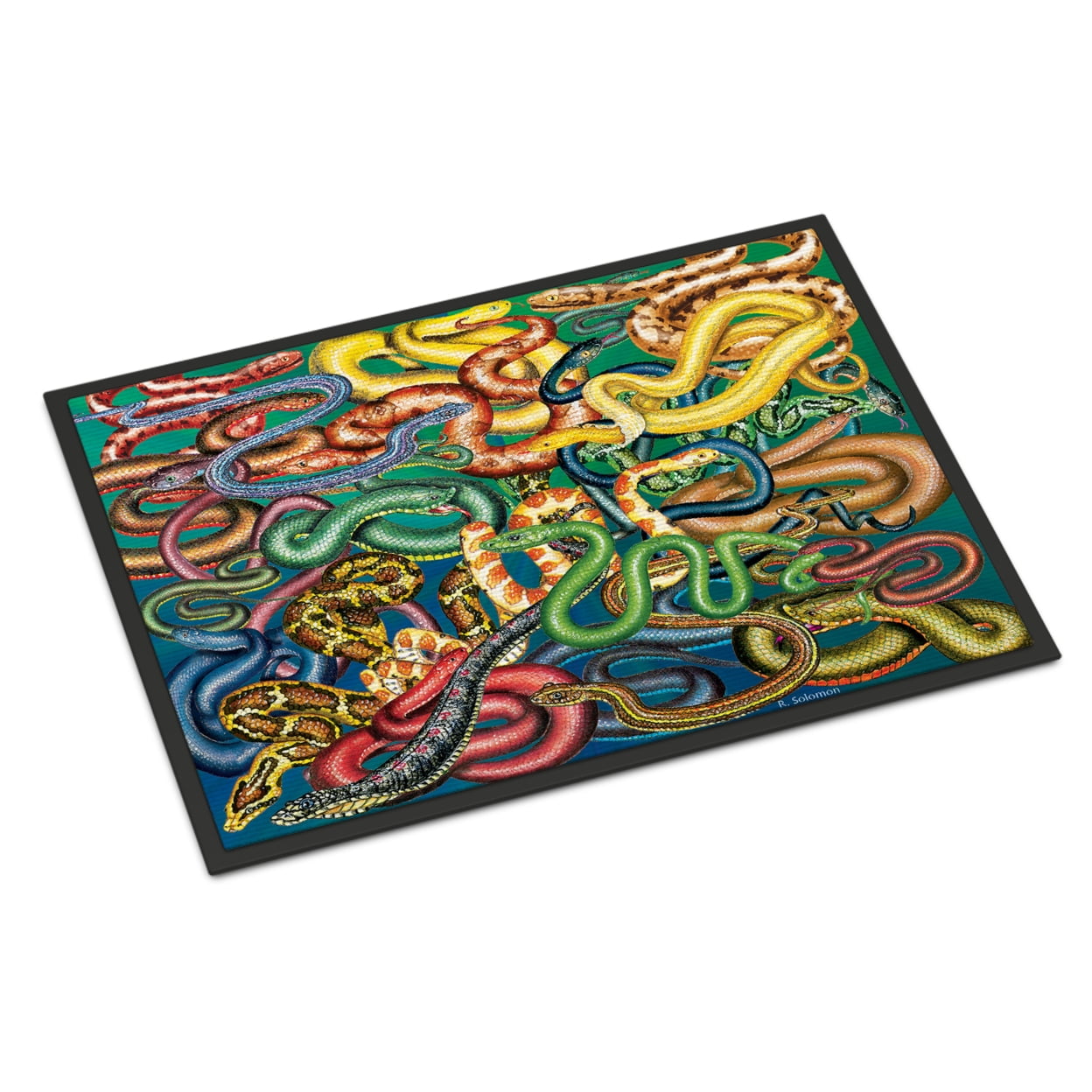 Carolines Treasures PRS4031JMAT Snakes Door Mat Indoor Rug or Outdoor ...