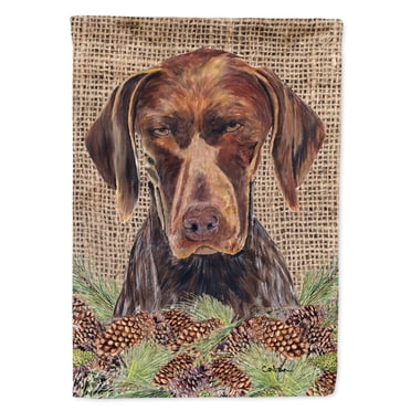 German Wirehaired Pointer Garden Flag - Walmart.com