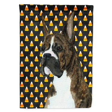 Cooper Candy Stripe Boxer Christmas Flag Canvas House Size - Walmart.com