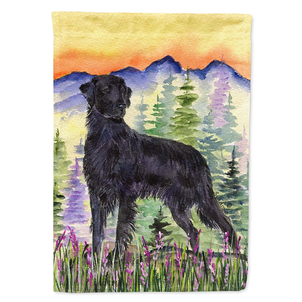 Carolines Treasures SS8263CHF Flat Coated Retriever Canvas Flag - House ...