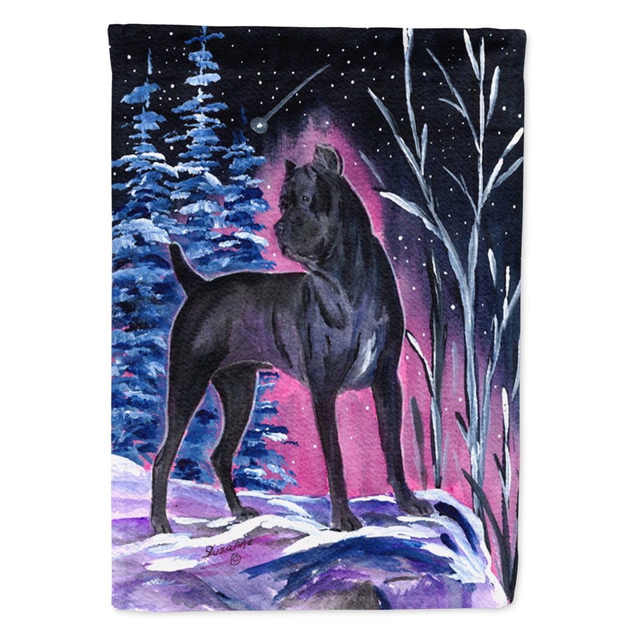 Carolines Treasures SS8410-FLAG-PARENT Starry Night Cane Corso Flag ...