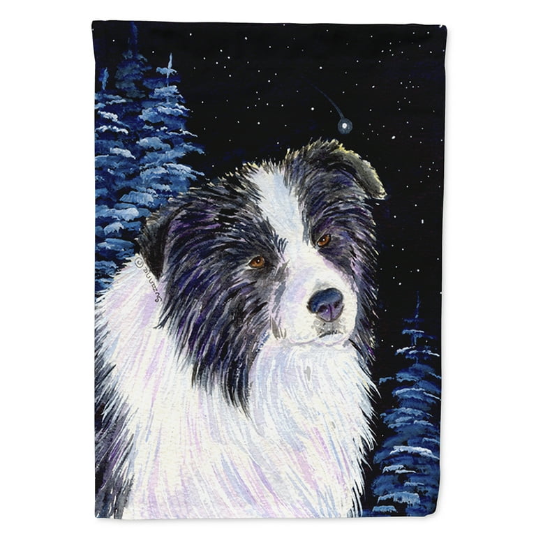 starry border collie