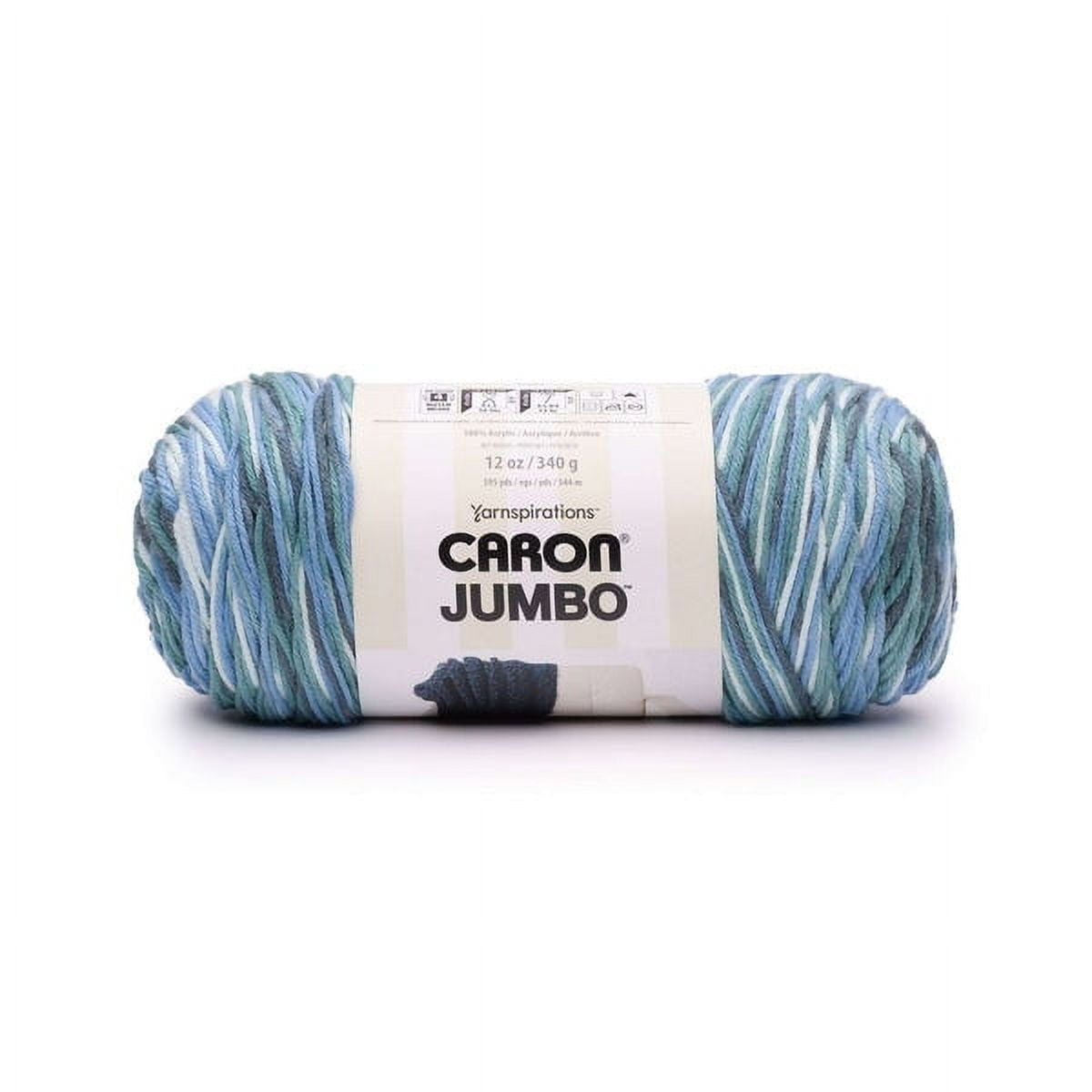 Caron Jumbo Ombre Yarn, 100% Acrylic, Worsted Weight, Soft Stripes ...