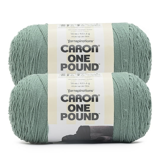 Caron® One Pound™ #4 Medium Acrylic Yarn, Hosta 16oz/454g, 812 Yards (2 Pack) - Walmart.com