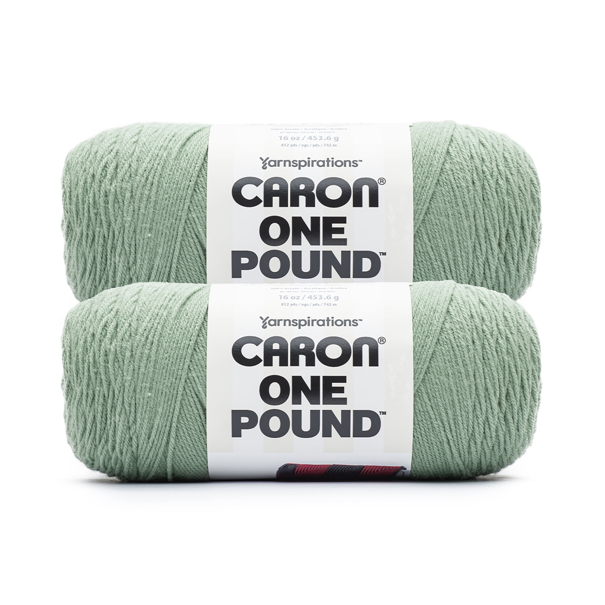 Caron® One Pound™ #4 Medium Acrylic Yarn, Succulent 16oz/454g, 812 ...