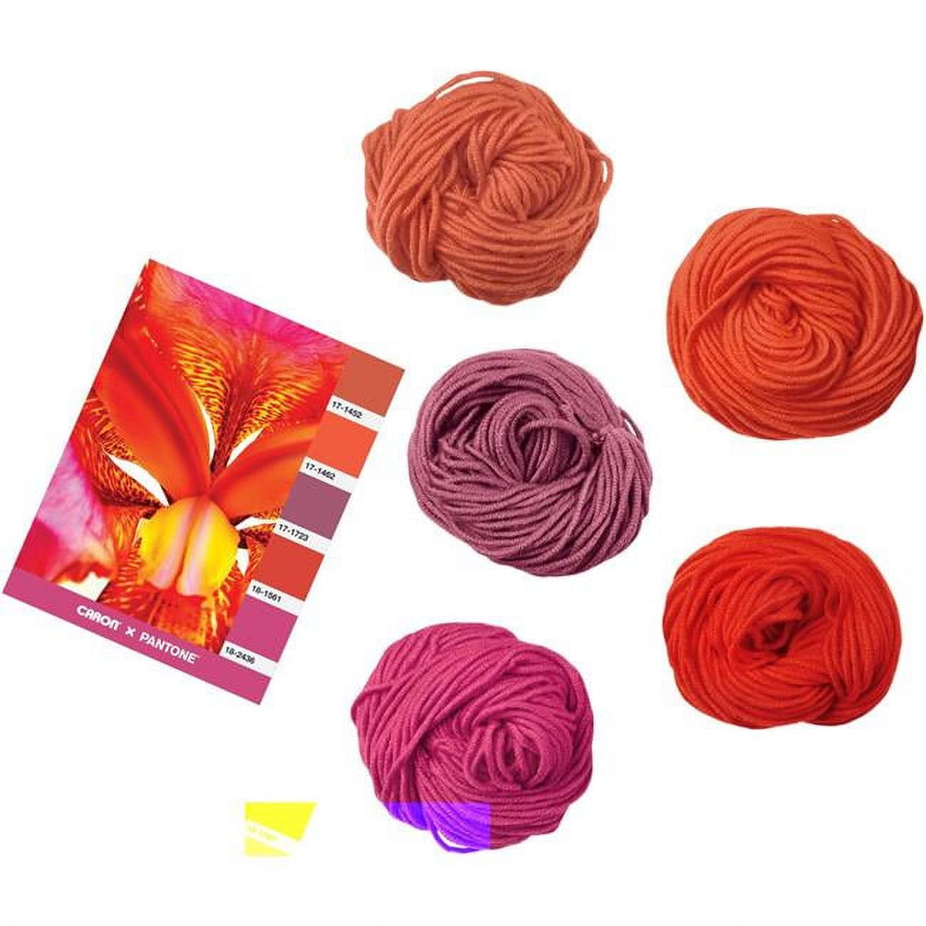 Caron Pantone X Spicy Blooms 5-Color Knitting & Crochet Yarn - Walmart.com